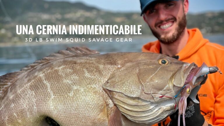 Il prezzo della cernia al kg: quanto costa il pesce più prelibato ...